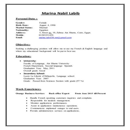 Marina Nabil Labib | DOCX | IT and Internet Support | Internet