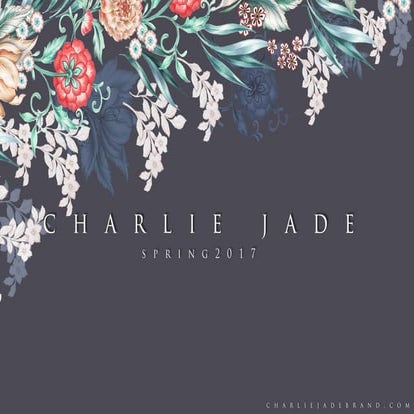 Charlie Jade Spring17 Presentation (2) | PPT