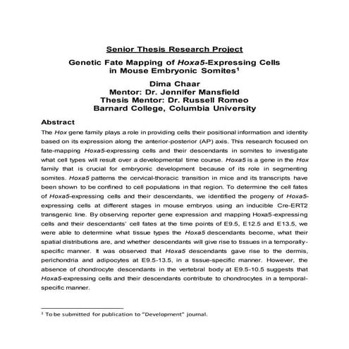 Dima Chaar- Senior Thesis Abstract | PDF