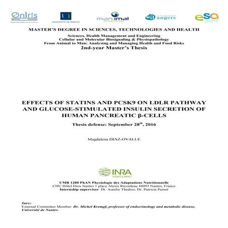 FINAL MEMOIRE MDO | PDF