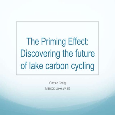 Priming Effect Presentation | PPT