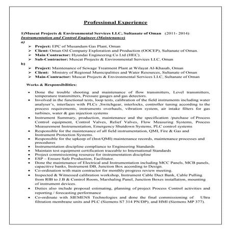 Professional Experience | PDF