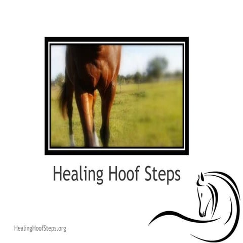 Healing Hoof Steps Business Plan | PPT