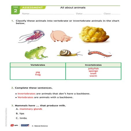 B7c9cb89 cdcf-4ee4-9d0e-b6c51853d8ab | PDF | Reptiles | Pets