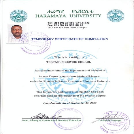 training certficate | PDF