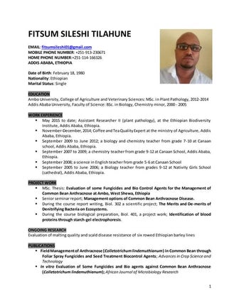 CURRICULUM VITAE peter | PDF