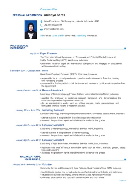 Sample CV | PDF | Programming Languages | Computing