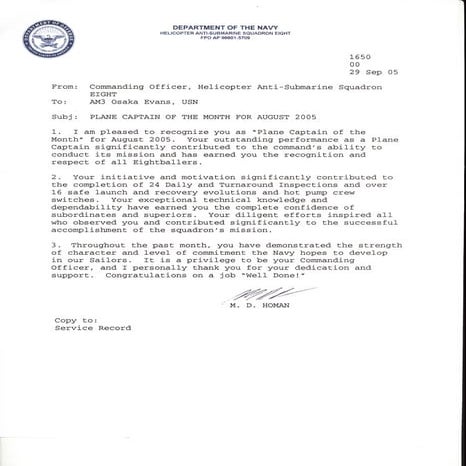 Navy Plane Captain Award | PDF