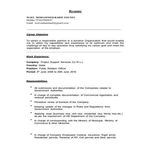 Adel Nasser Maher CV | DOC