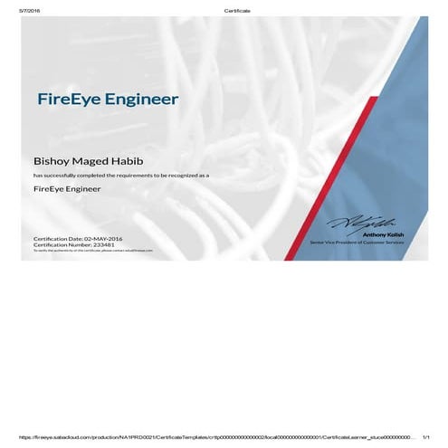 FireEye SE Certificate | PDF