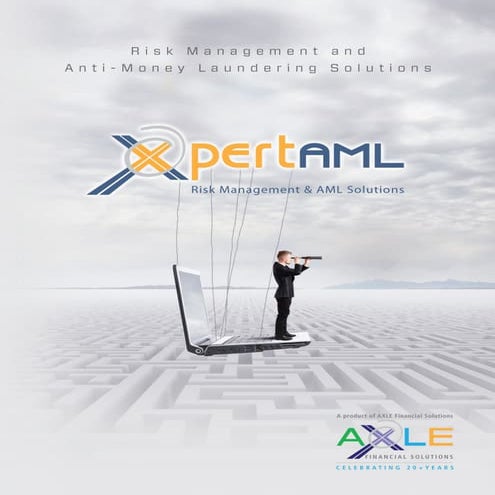 Xpert AML Brochure | PDF