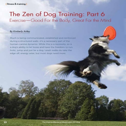 the zen of dog training part 6 | PDF