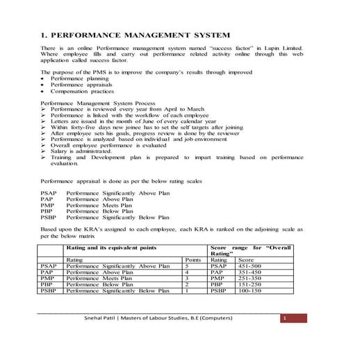 PERFORMANCE MANAGEMENT SYSTEM | DOCX