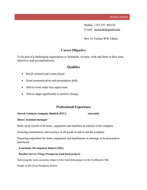 PRINCE BORTEY CV | PDF