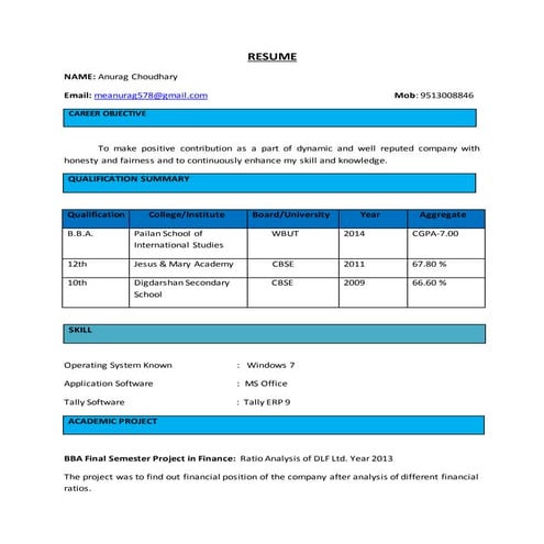 New Microsoft Word Document resume | PDF