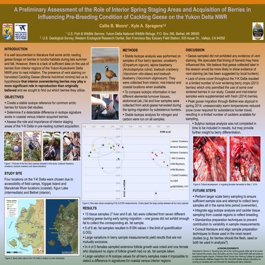 Patterns of Deforestation | PPTX