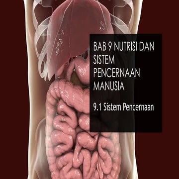 B9 Nutrisi dan Sistem Pencernaan Manusia.pptx