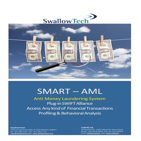 SMART-AML_A4.EN.ciq