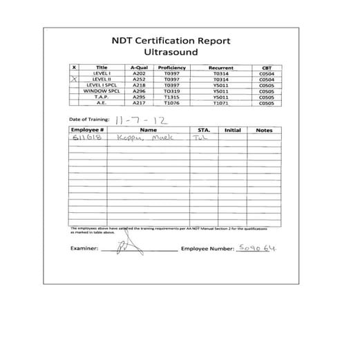 AA UT Level II Certs | DOCX