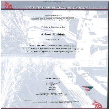 Apply Risk Management Processes certificate | PDF