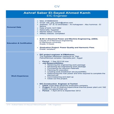 Ashraf - CV | PDF