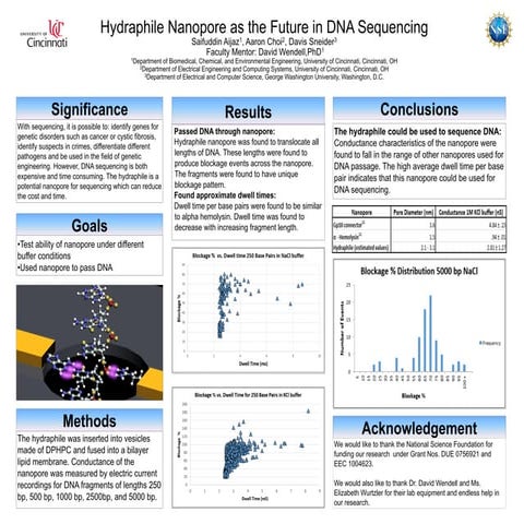 Summer NSF Poster - Hydraphile | PPT