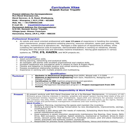 Brajesh Resume | DOC