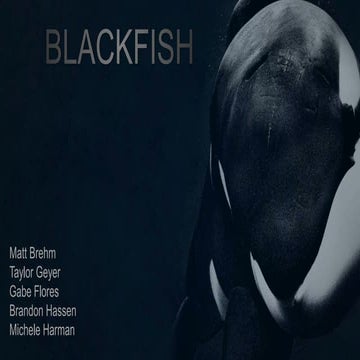 Black Fish - Sea World Ethics Case | PPTX
