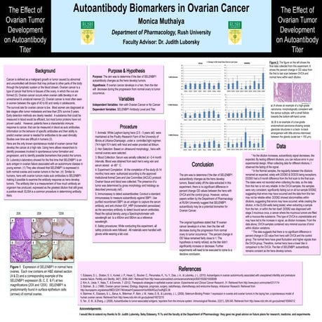 Poster Outline (1) | PDF