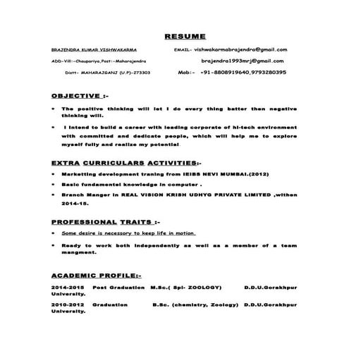RESUME 2 | DOCX