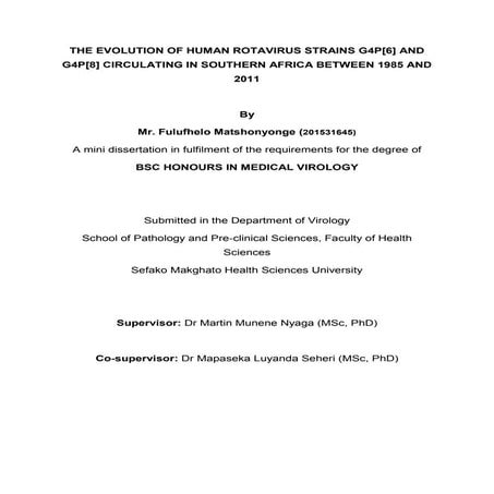 Mini dissertation_FINAL _Fulufhelo M _08-01-2016 | PDF