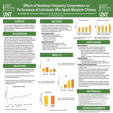 multimedia effects poster (34x22) | PDF