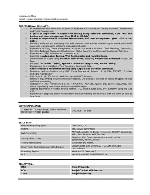 ParthaMahato_AutoTesting_Java | DOCX | Programming Languages | Computing