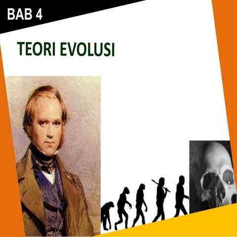 Bab-4-TEORI-EVOLUSI.pptx