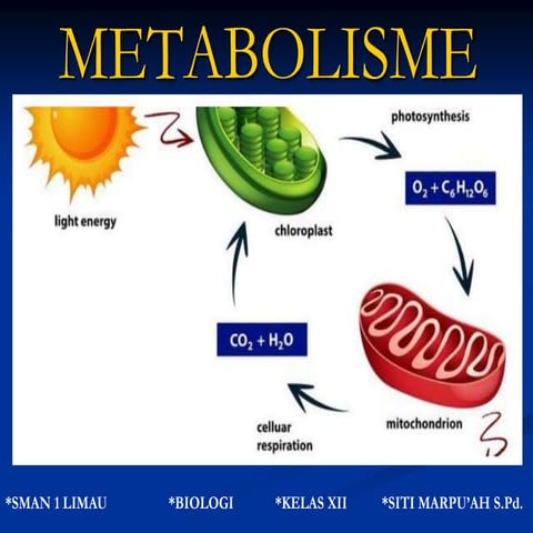 BAB_02_METABOLISME_kelas_12_pelajaran_bi.ppt