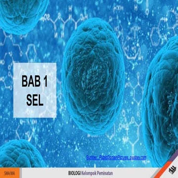 BAB 1 - SEL - NEW.pptx untuk kelas sebelas | PPT