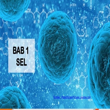BAB 1 - SEL - NEW-std kelas 10 cabang biologi yang mempelajari tentang struktur, fungsi, dan ...