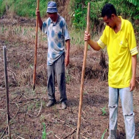 FARM FRESH KUMP KTESAA DAN KISTARP 2025 (1).pptx