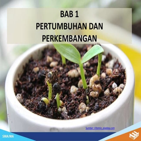 BAB 1 fix-1.pptx