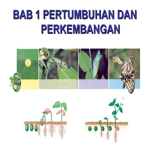 Bab 1 pertumbuhan dan perkembangan | PPT