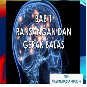 BAB 1 RANGSANGAN DAN GERAK BALAS.pptx