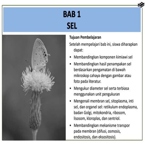 Bab 1 Sel.pptx