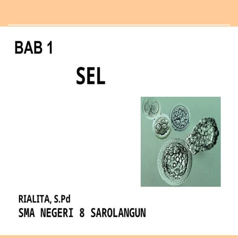 BAB 1 SEL.sma biologi sma,,,,,,,,,,,,,,,,,,,,,,,,,,,,,,,,,,, | PPT