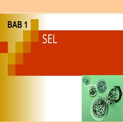 Ilmu Biomedik Dasar - BAB 1 SEL Biologi | PPT