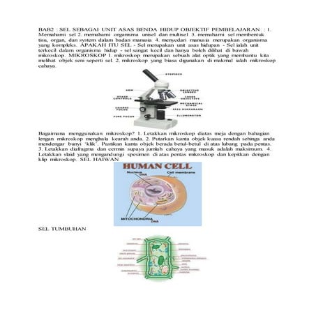 331578497-Uniseluler-Multiseluler tumbuhan.pptx