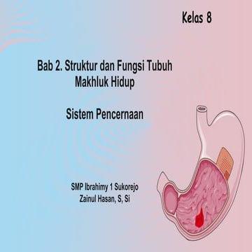 Bab 2 Struktur dan Fungsi Tubuh (Sistem Pencernaan) IPA Kelas 8 SMP ...
