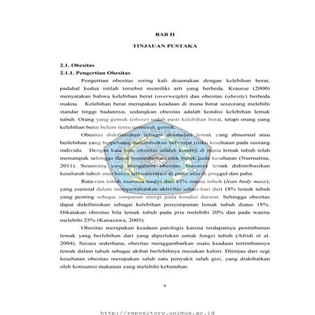 BAB 2 (1).pdf
