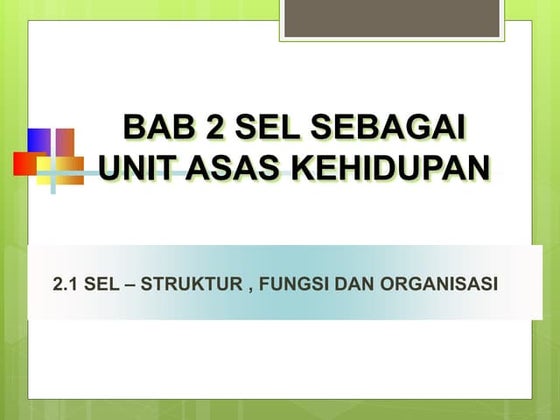 PPT - Sel dan Mikroskop Materi IPA Kelas 8.pptx