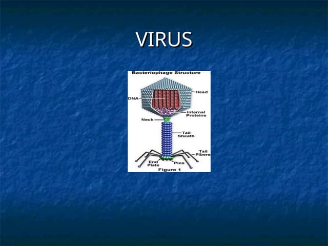 MATERI BIOLOGI VIRUS KURIKULUM MERDEKA KELAS X.pptx