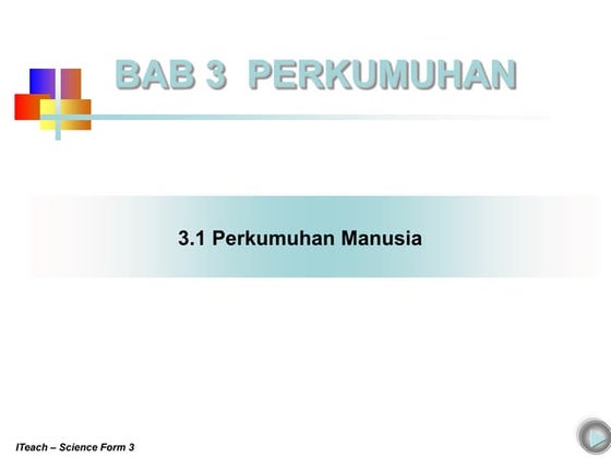 sistem perkumuhan manusia | PDF